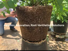 Plastic Plant Pots for Berries Grow