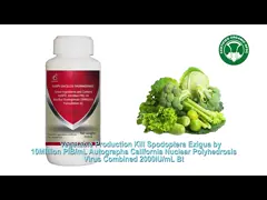 China Fall armyworm in africa a guide for integrated pest management beet armyworm treatment for sale