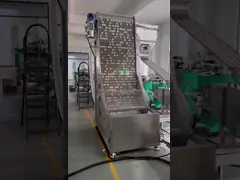 China Automatic Bottle Caps 2-Color UV Offset Machine for sale