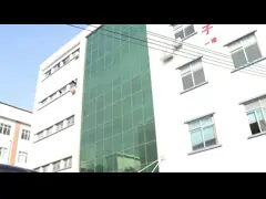 LuPhi Electronics 8th anniversary celebration vlog Huizhou 2-day tour