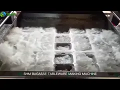 China Automatic Production Machine Full-Automatic Process From Paper Pulp Making And Forming To Hot Pressing Drying And Stacking for sale