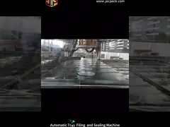 Rotary stand up bag automatic snacks filling machine pet food packaging machine dehydrated dried veg