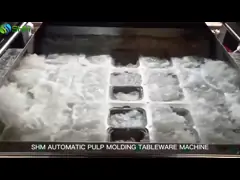 Новейшая бумажная целлюлозная столовая посуда биоразлагаемая коробка для обеда