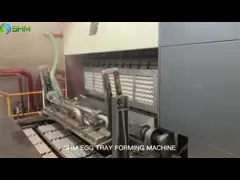 China Paper Pulp Egg Tray Packing Machine Fully Automatic for sale