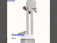 China 0.5m/S Single Bucket Elevator With Big Hopper Grain Bucket Lift for sale