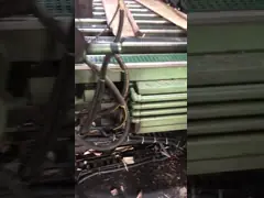 Veneer processing factory