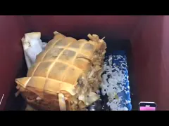 Low Noise Knife Grinder
