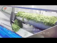 How does the canned bean production line produce canned beans?