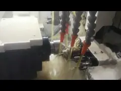 sm205 швейцарский тип