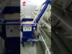 Ένα αυτόματο κάρρο Adela σίτισης κοτόπουλου μεγέθους προσαρμογής τύπων και τύπων Χ