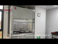 China Microcomputer Control Ducted Laboratory Fume Hood Suppliers with 1000m3/h Air Volume for sale