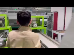 China Belt Type Coffee Cherry Processing Machinery For Green Red Cofee Cherry Color Sorter for sale