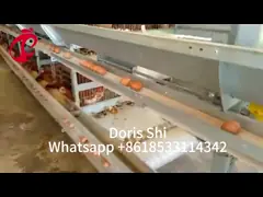 120-200 Chickens Capacity Layer Battery Cage System For 500 To 50000 Chicken Farm Doris