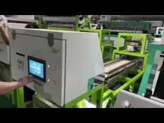 China Color Sorter Machine For Peeled Garlic Garlic Processing Plant Chain Driven Garlic Peeling Machine for sale
