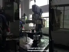 Perforación por perforación de cerrojo de bridas de acero inoxidable/acero al carbono