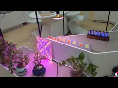 China Practical Full Spectrum COB LED Chip 50W 100W For Indoor Plant Grow Lamp for sale