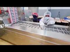 Seafood fish segment stretch film vacuum packaging machine