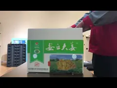 PP hollow board vegetable box