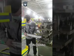 Profile Punching