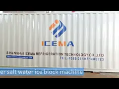 Efficient and Reliable Showcase of 6-ton Container Block Ice Machine