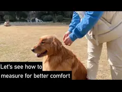 反射性柔らかいデザイン 快適で耐久性のある 調整可能なナイロン ネオプレン ペットネックレス