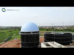 Ghana Domestic Sewage Project
