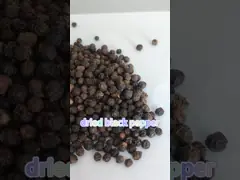 Dried Spices And Herbs Cheap Black Pepper 550GL Black Peppercorn