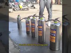 China FM200 Hfc227ea Gas Fire Suppression Car Small Portable Fire Extinguisher For Car for sale