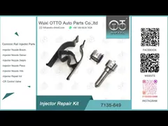 7135-649 Delphi Injector Repair Kit For Injectors R04601D