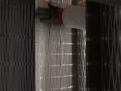 zoo wire mesh 2