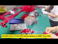 Ship and car battery fuse