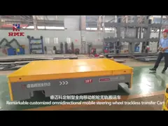 Remarkavelmente personalizado Omni volante móvel sem trilhos de transferência Carrinho