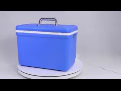 18L with 04 ice packs