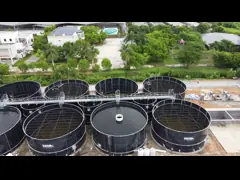 Huizhou's Green Future: Center Enamel Completes Industrial Wastewater Project Triumphantly