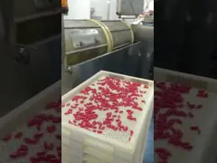 Μηχανή ενσωμάτωσης Softgel 6RPM Αλιέλαιο και πάστα ψαριού Γεμίζοντας 120000 PCS / H