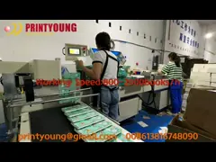 China PRY-520PB Automatic Double Loop Wire Punching And Binding Machine Electricity Power for sale
