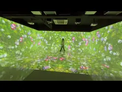 Wall Projection and Floor Projection for Museum