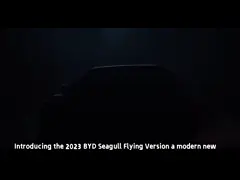 Travel Right Hand Drive Vehicles BYD Dolphin Hatchback Car