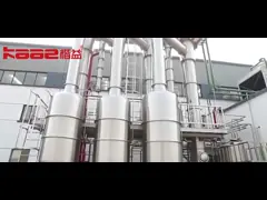 Berry fruits processing line