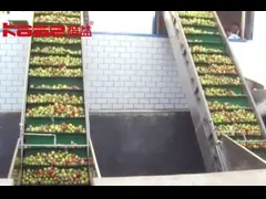 Apple juice processing machine