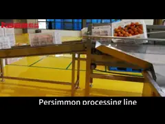 Dried Persimmon Processing Line Machine