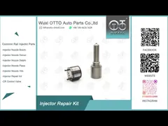 OEM 7135-730 Delphi Injector Repair Kit Comprehensive