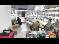 Введение в компанию GZDS