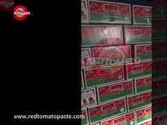 China Sachet Tomato Paste 50g 56g 70g Stand Up Sachet Tomato Paste Wholesale No Additive 100 Purity For Cook for sale