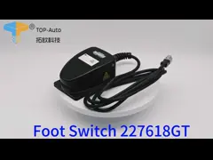 227618GT Foot Switch