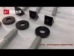 China Passenger Car Vehicle Truck Run Flat Tyre System Emergency Device for sale