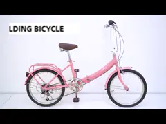 China Shock Absorption Folding Commuter Bicycle 20 Inch Six Speed Folding Exercise Bike for sale