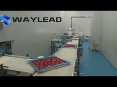 Productielijn voor het verpakken van diepgedroogd fruit en groenten