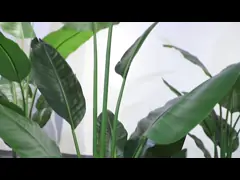 Rotating section video