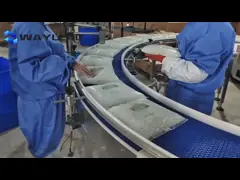 Coconut production line
